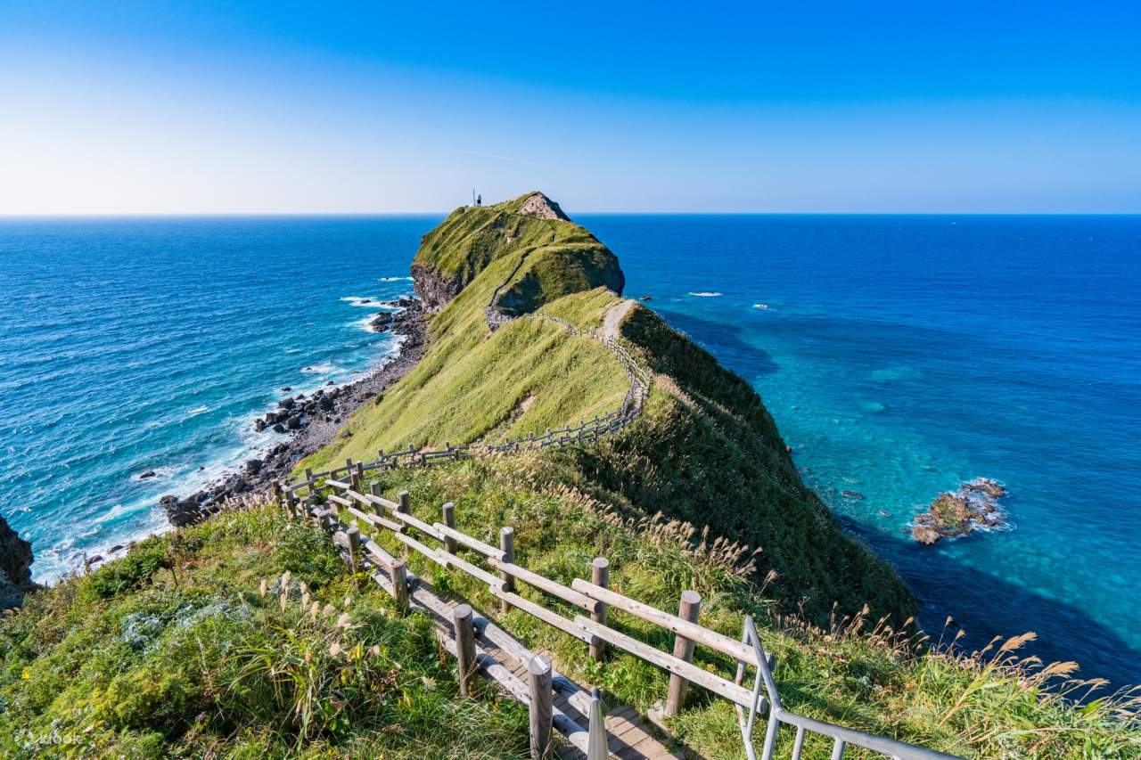 [Hokkaido Breathtaking Scenery Day Trip] Furano Biei, Otaru Kamui Cape ...